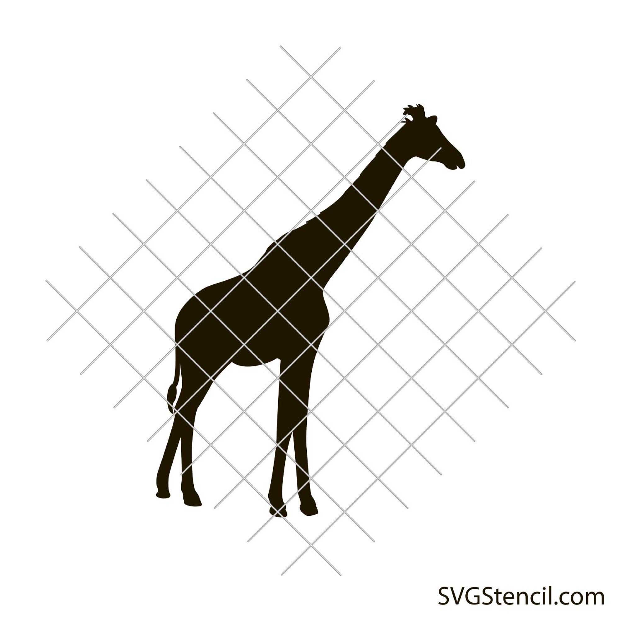 Free safari animal svg | Zoo animal svg | Giraffe stencil - SVGStencil