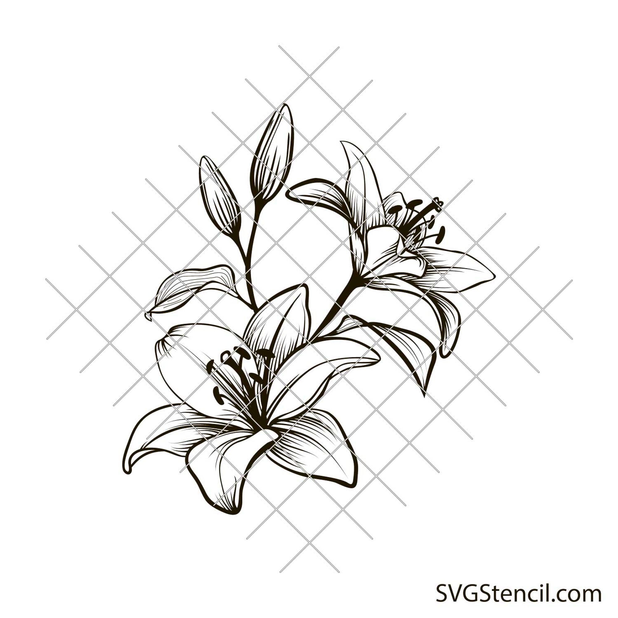 Bouquet of lilies svg | Calla lily svg | Easter lily svg - SVGStencil
