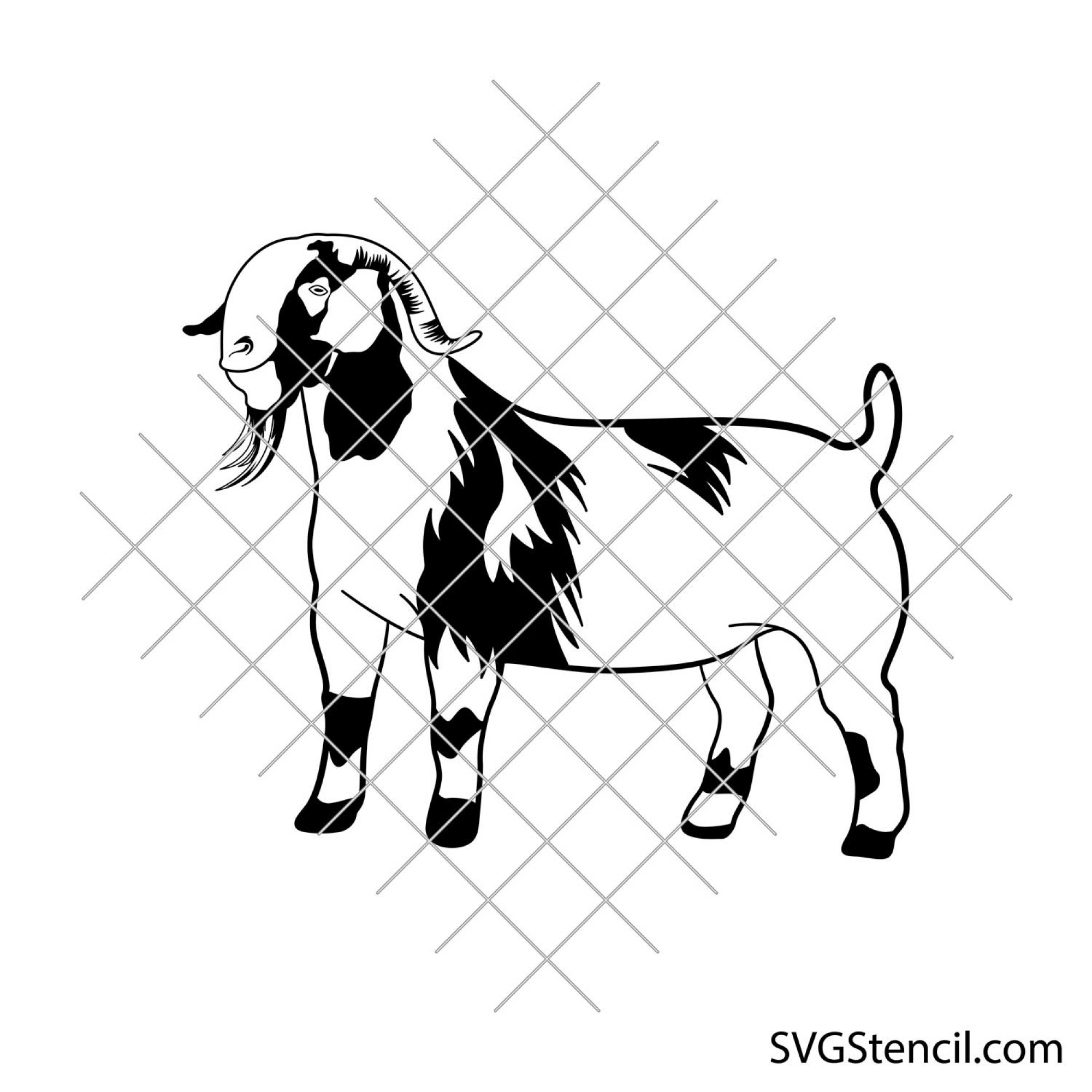 Pygmy goat svg | Boer stencil | Show goat svg - SVGStencil