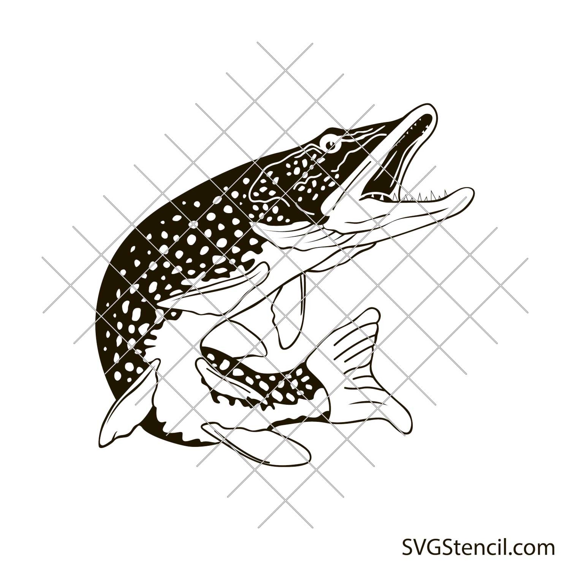 Northern Pike Coloring Page Northern Pike Vector Art, Icons, And
