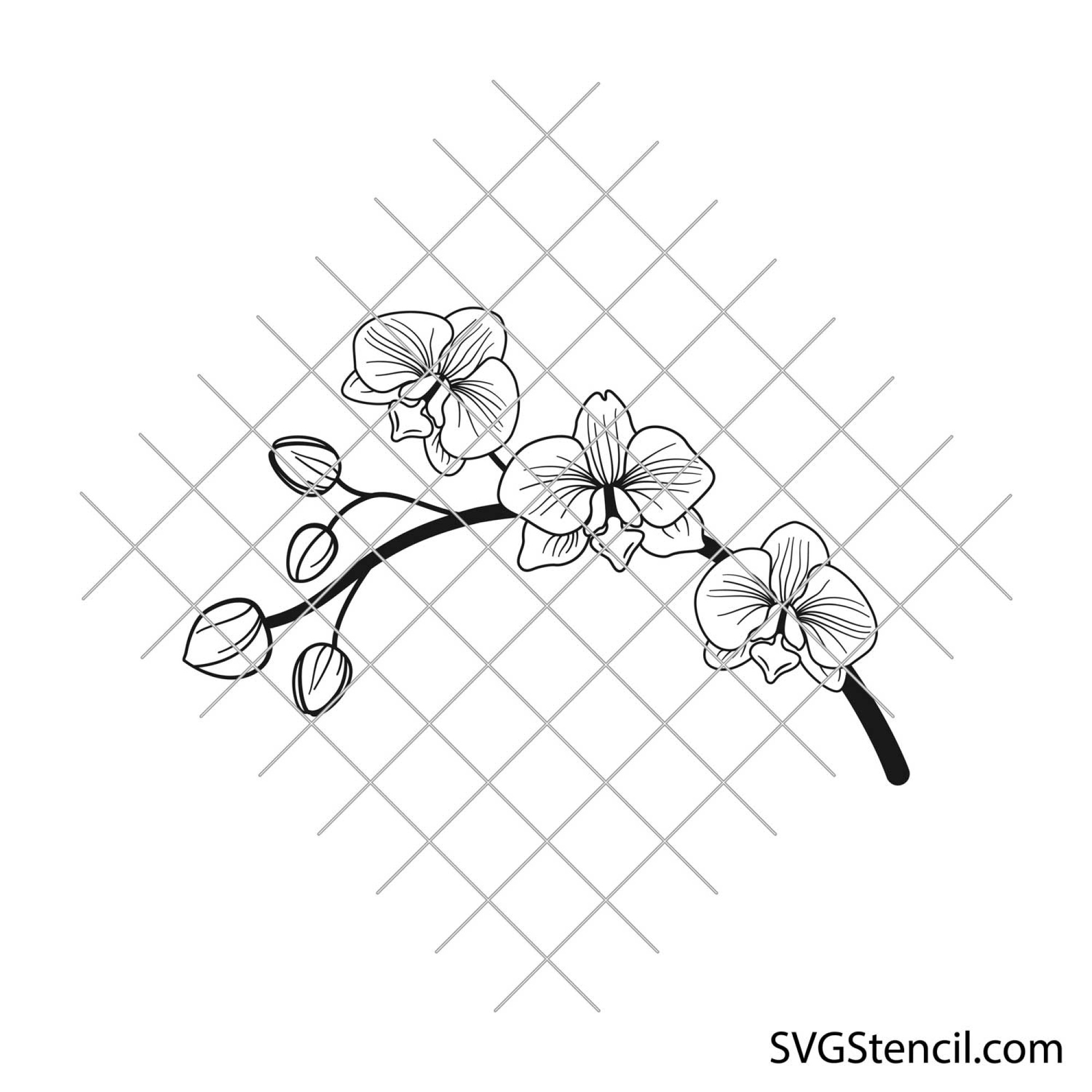Orchid svg | Wildflower svg | Botanical svg design - SVGStencil
