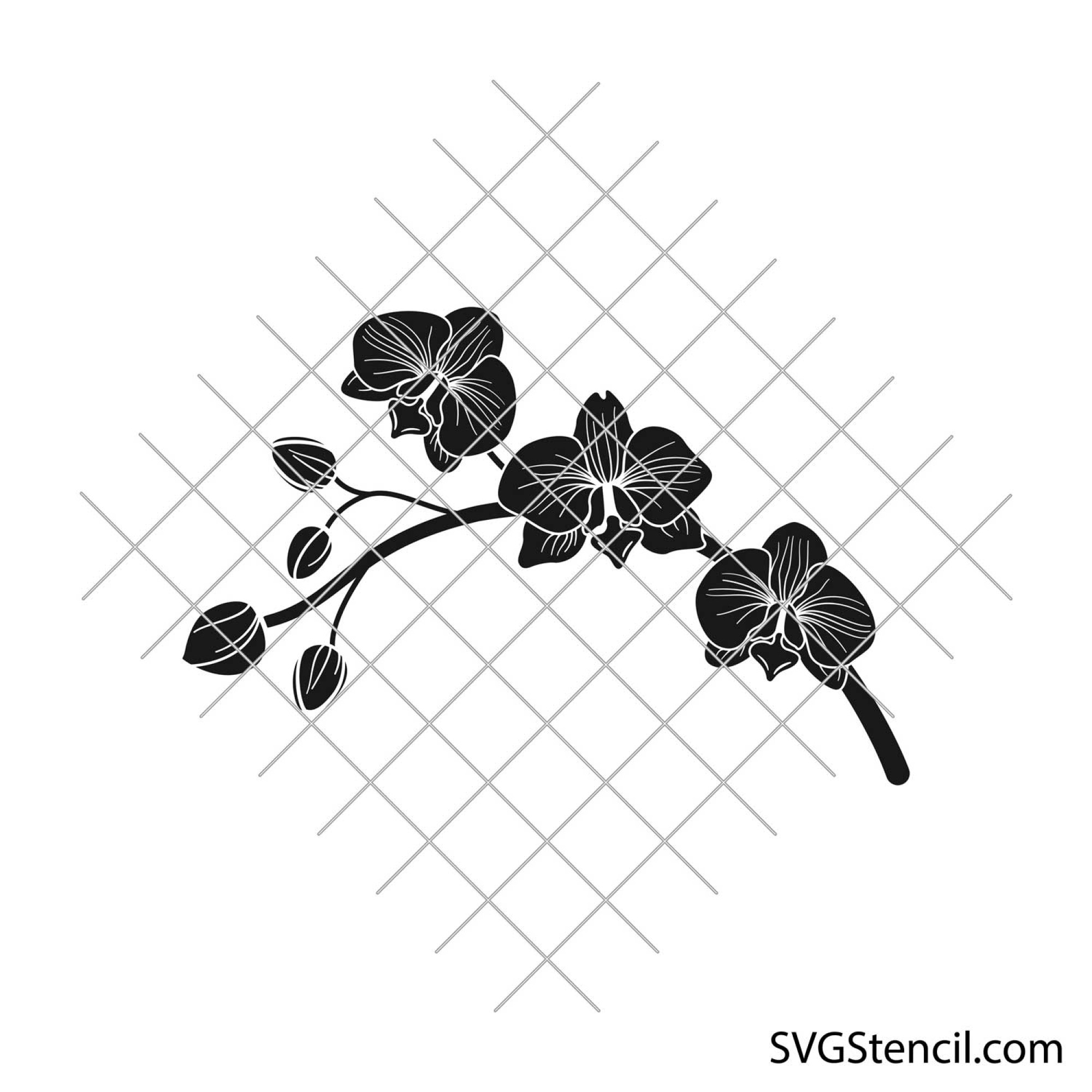 Orchid svg | Wildflower svg | Botanical svg design - SVGStencil
