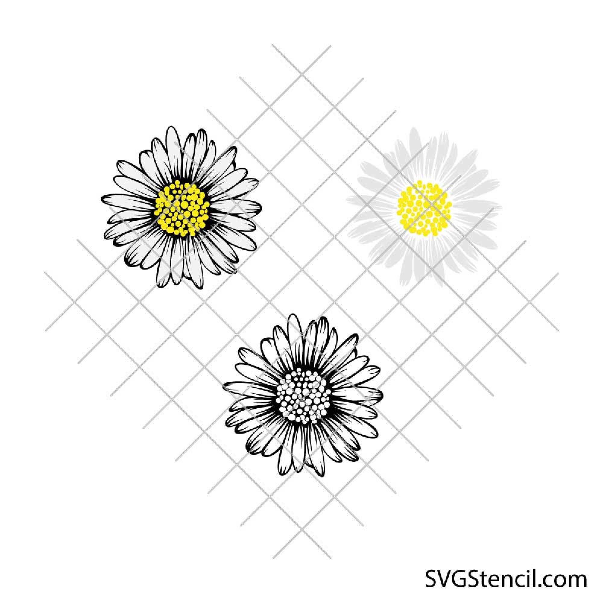 Retro daisy svg | Spring flowers svg | Outline daisy svg - SVGStencil