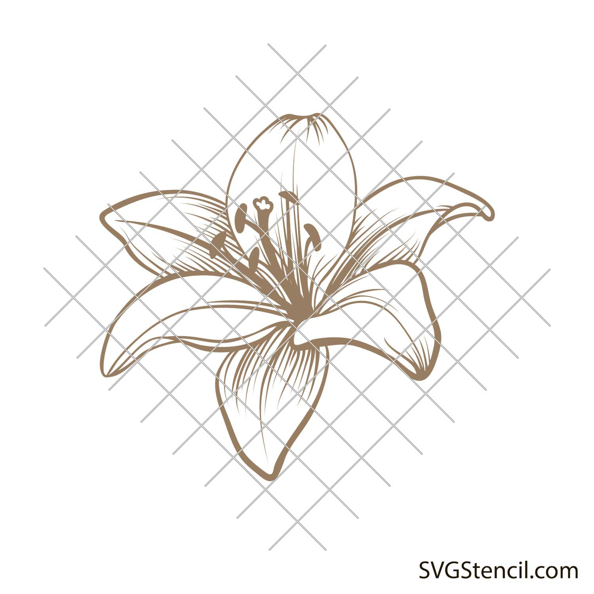 Lilly flower svg | Lilies svg | Spring flowers svg - SVGStencil