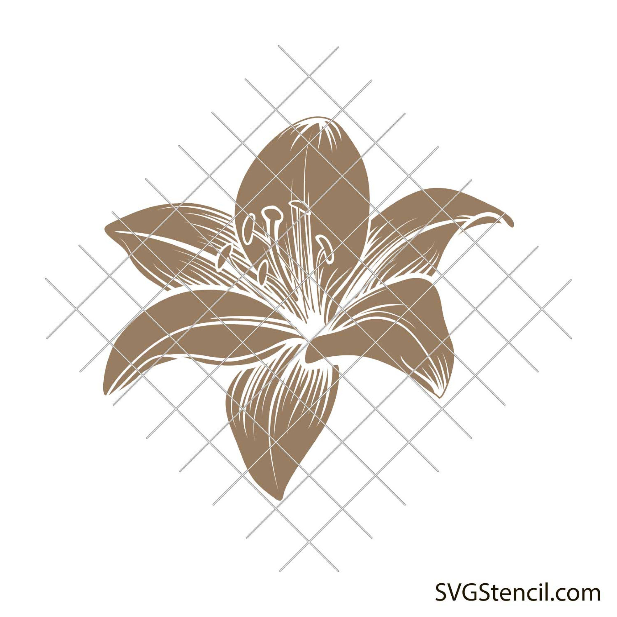 Lily silhouette svg | Stargazer lily svg | Cute flower svg - SVGStencil